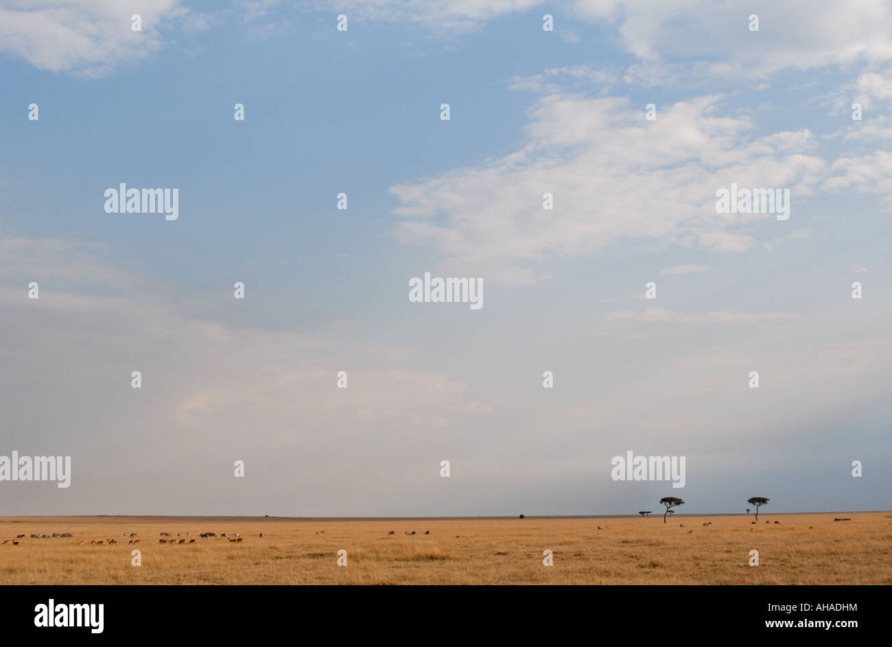 Vast african plain hi-res stock photography and images - Alamy
