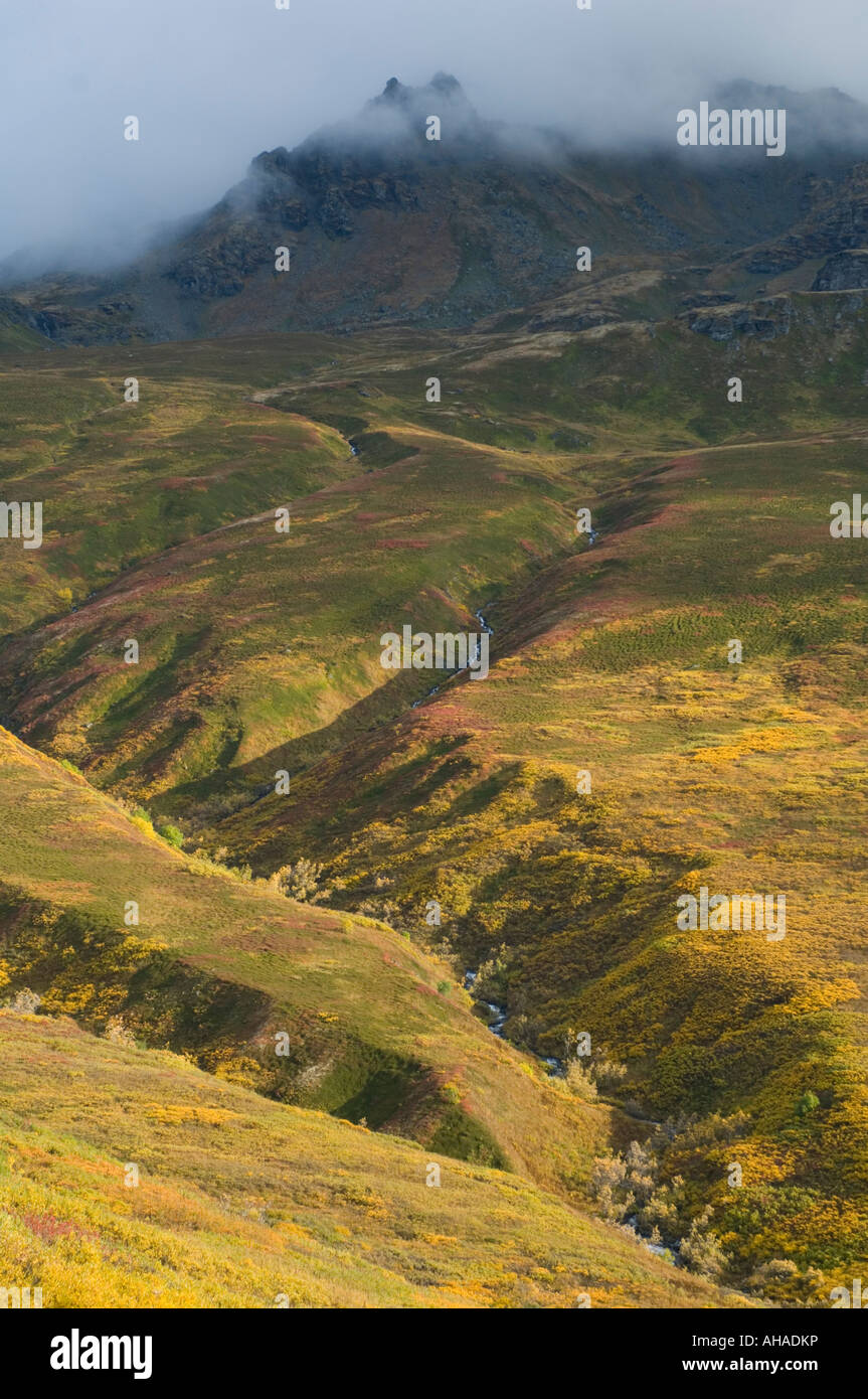 Tundra color hi-res stock photography and images - Alamy