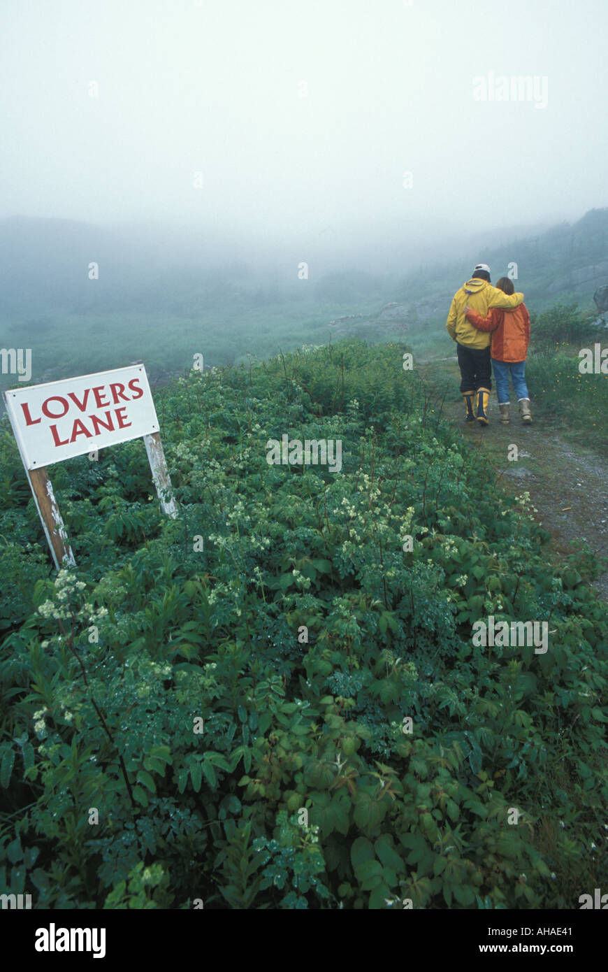 Lover's lane trail hi-res stock photography and images - Alamy