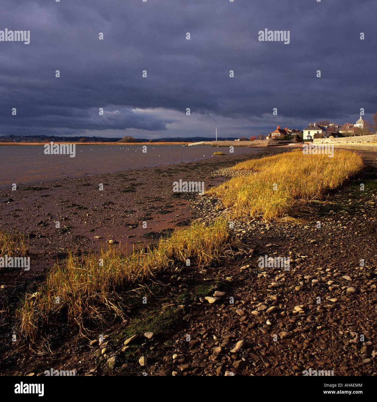 Beach at Topsham, Devon, UK, in stormy light Stock Photo - Alamy