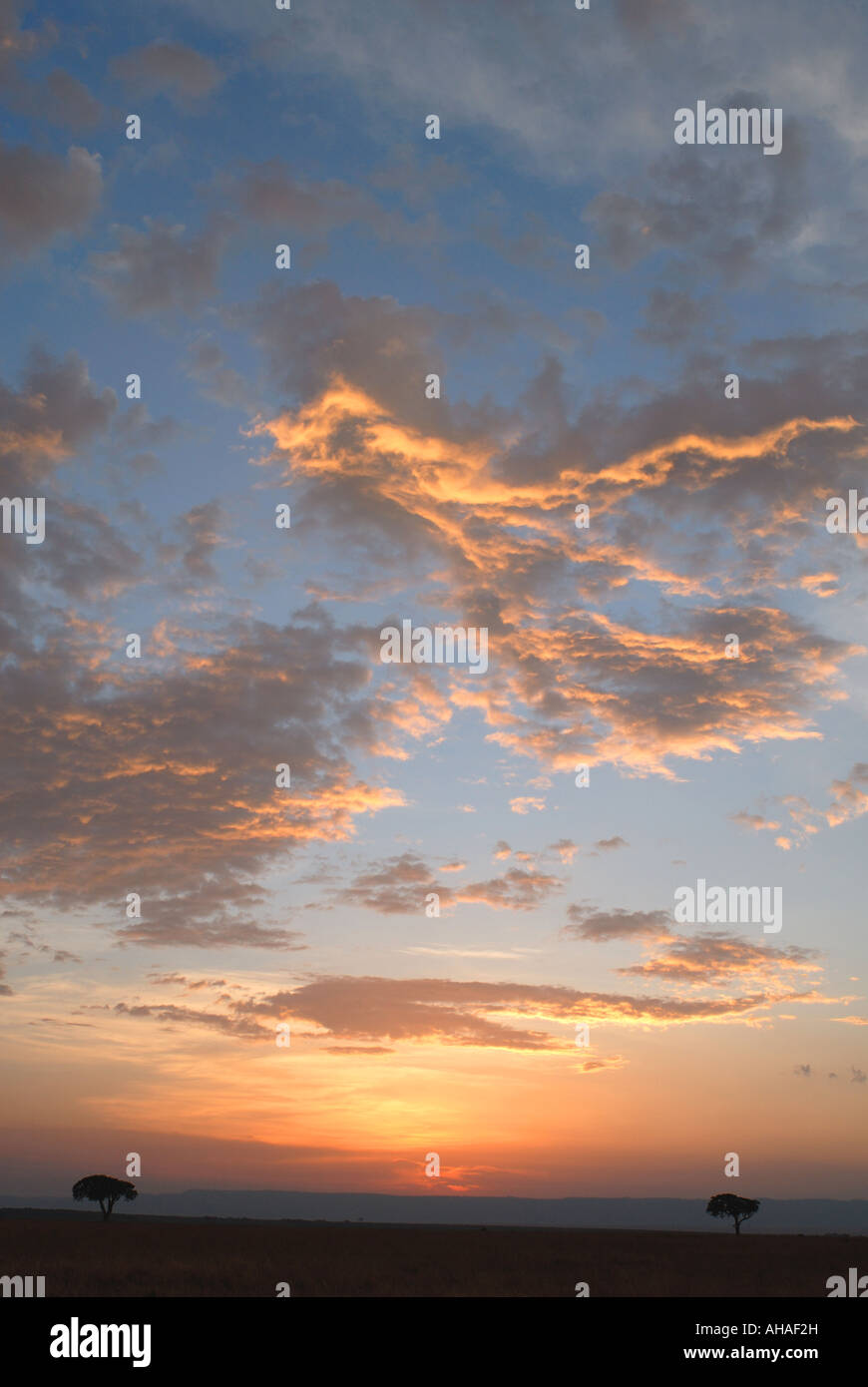 A beautiful sunset sky over the grassland plains of the Masai Mara ...