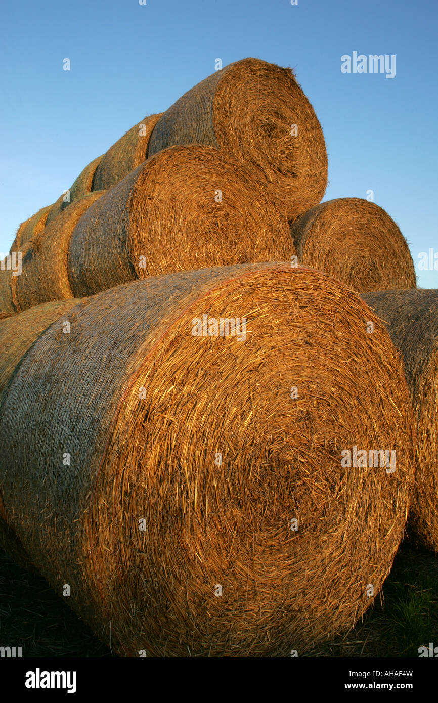 Round Straw Bales Stock Photo - Alamy