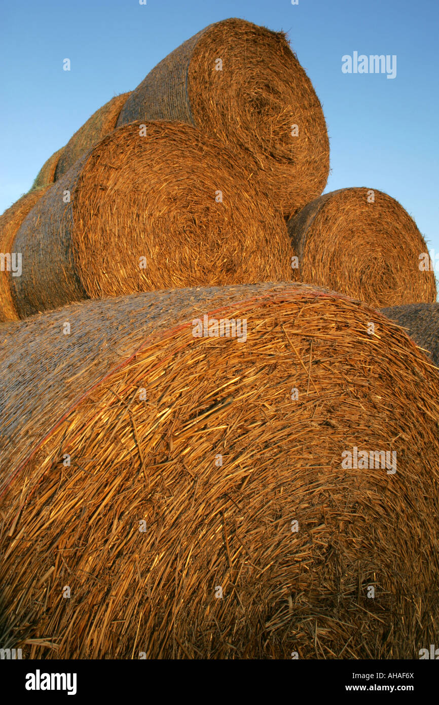 Round Straw Bales Stock Photo - Alamy