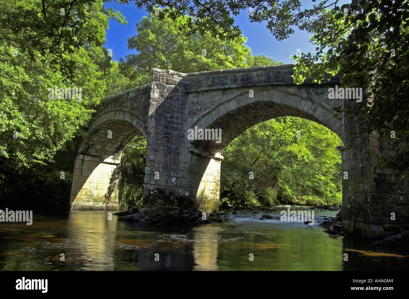 New Bridge over the River Dart in Dartmoor, Devon, England Stock Photo ...