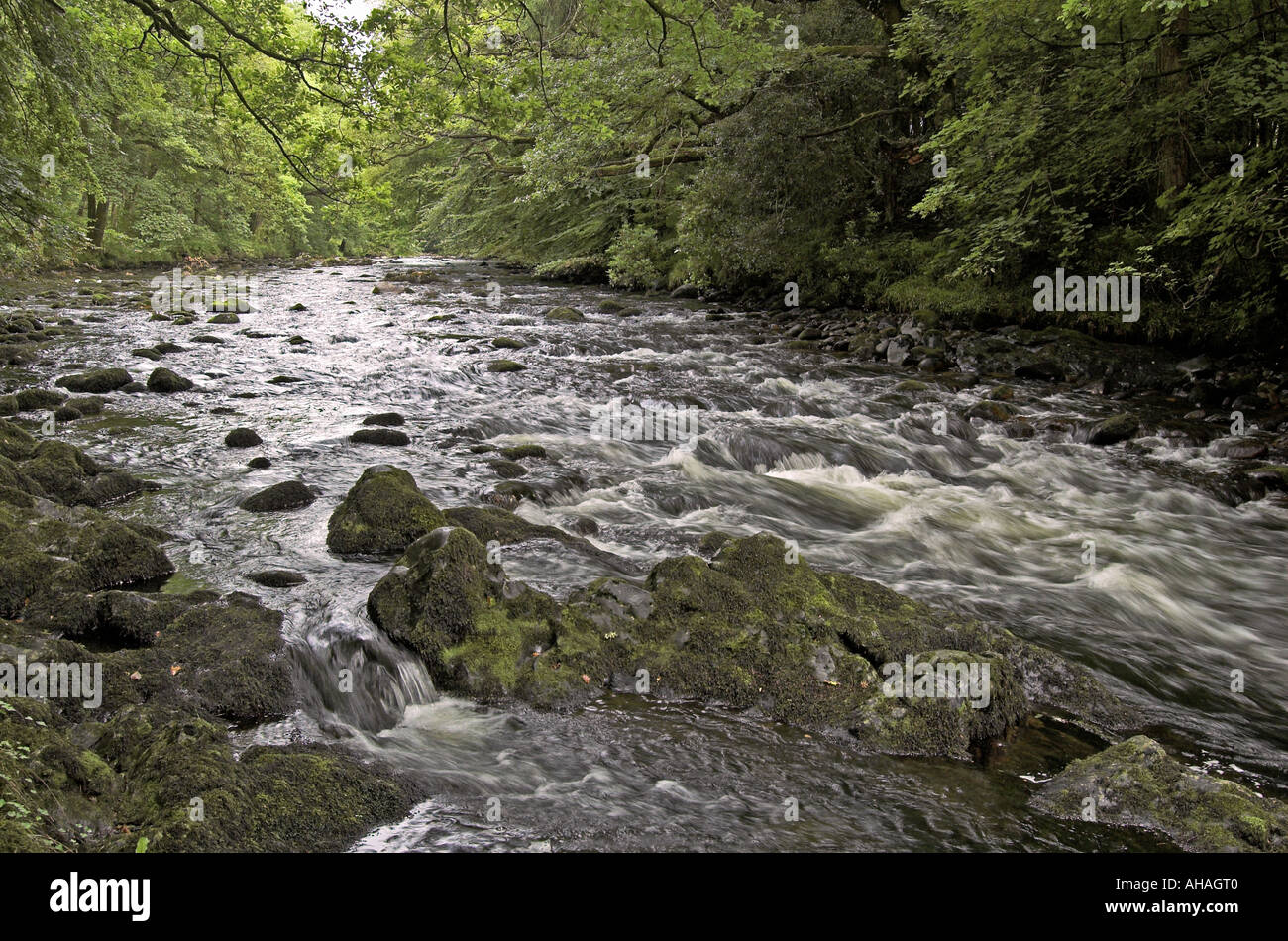 Holne bridge hi-res stock photography and images - Alamy