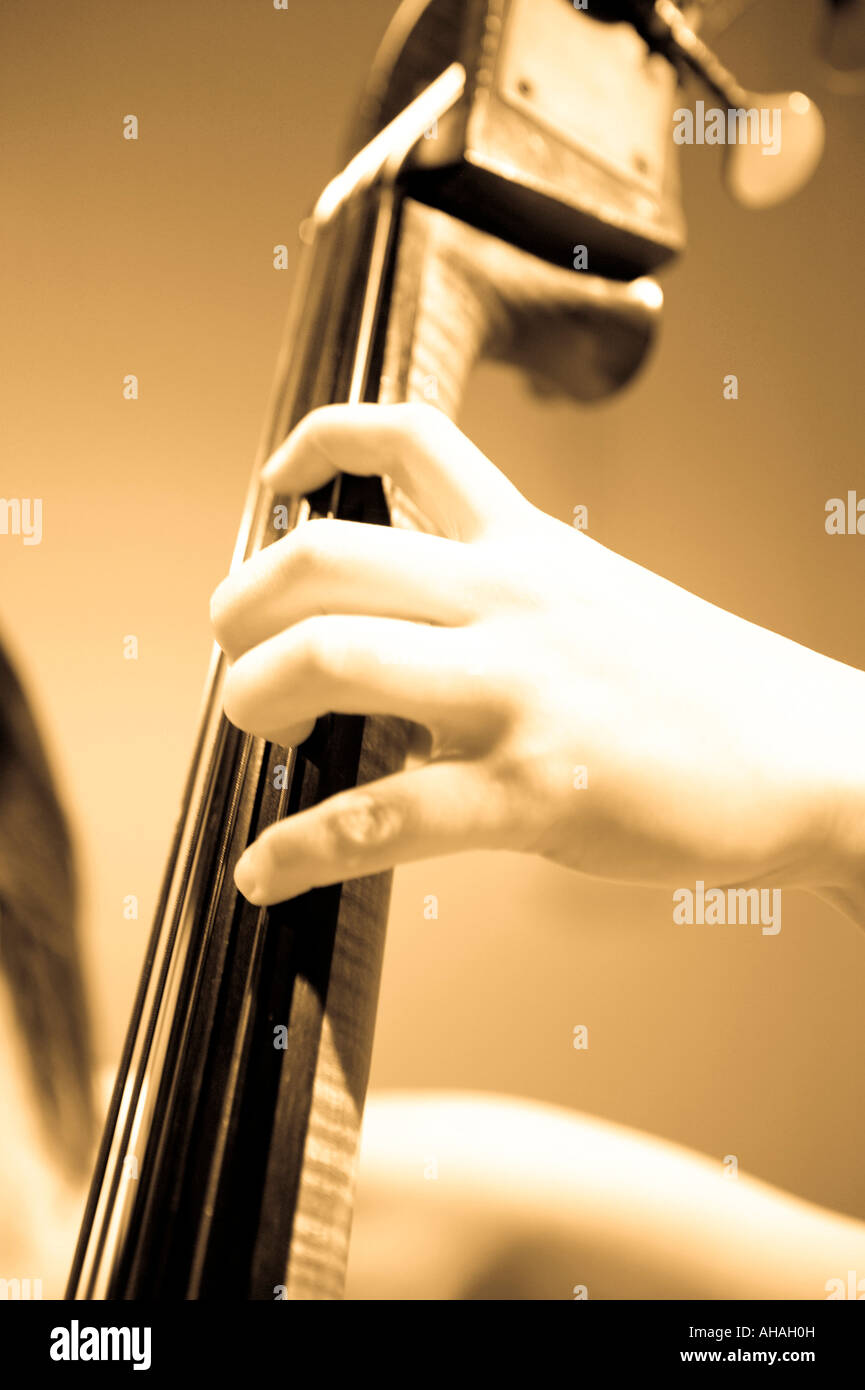 Contrabass hi-res stock photography and images - Alamy