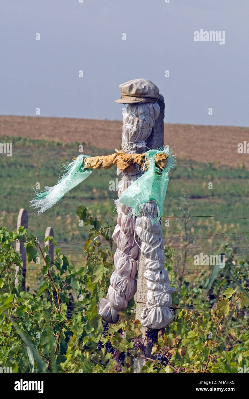 Krapets bulgaria hi-res stock photography and images - Alamy