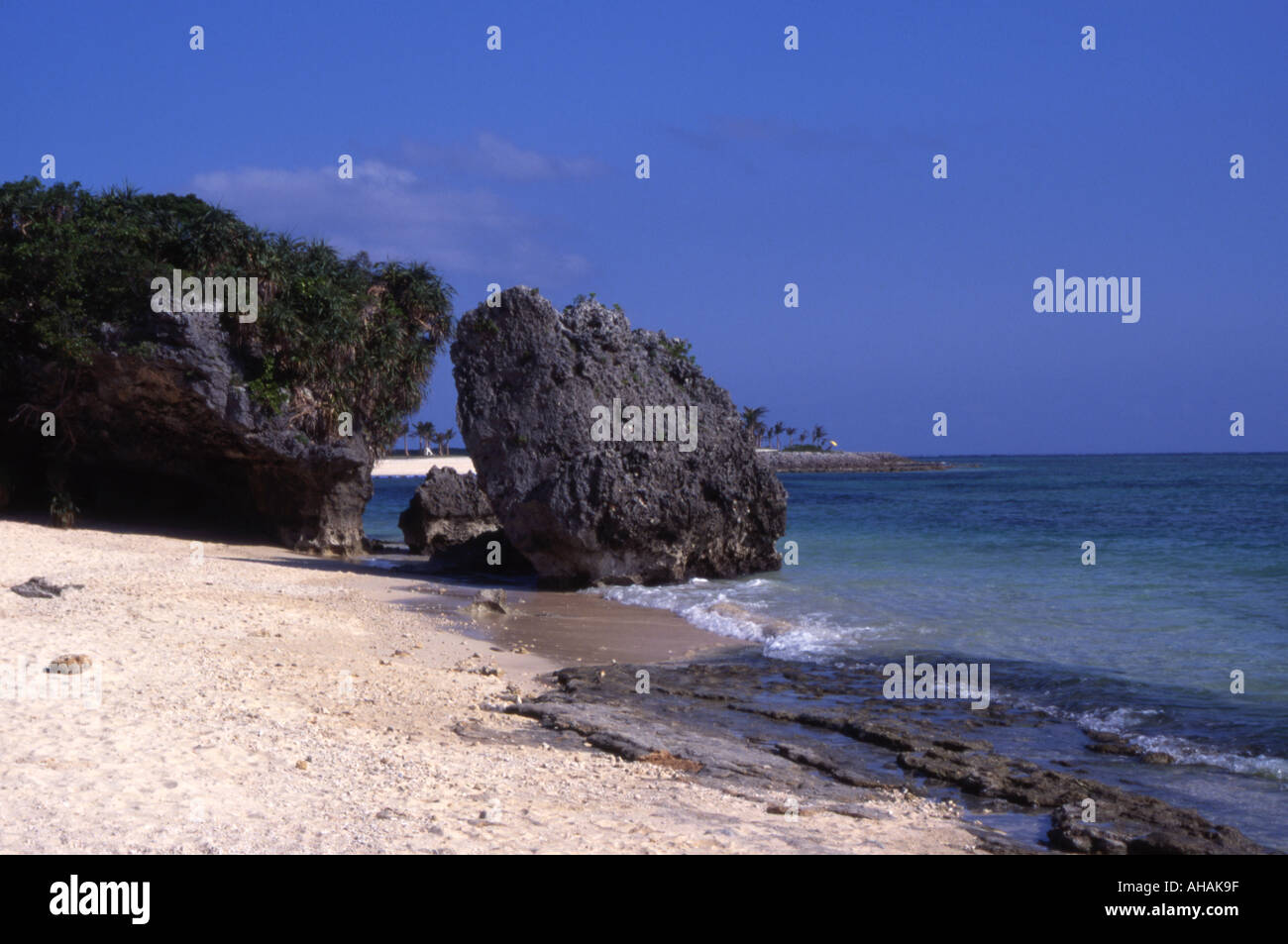 Tropical Beach at Expo park Motobu Okinawa Japan Stock Photo - Alamy