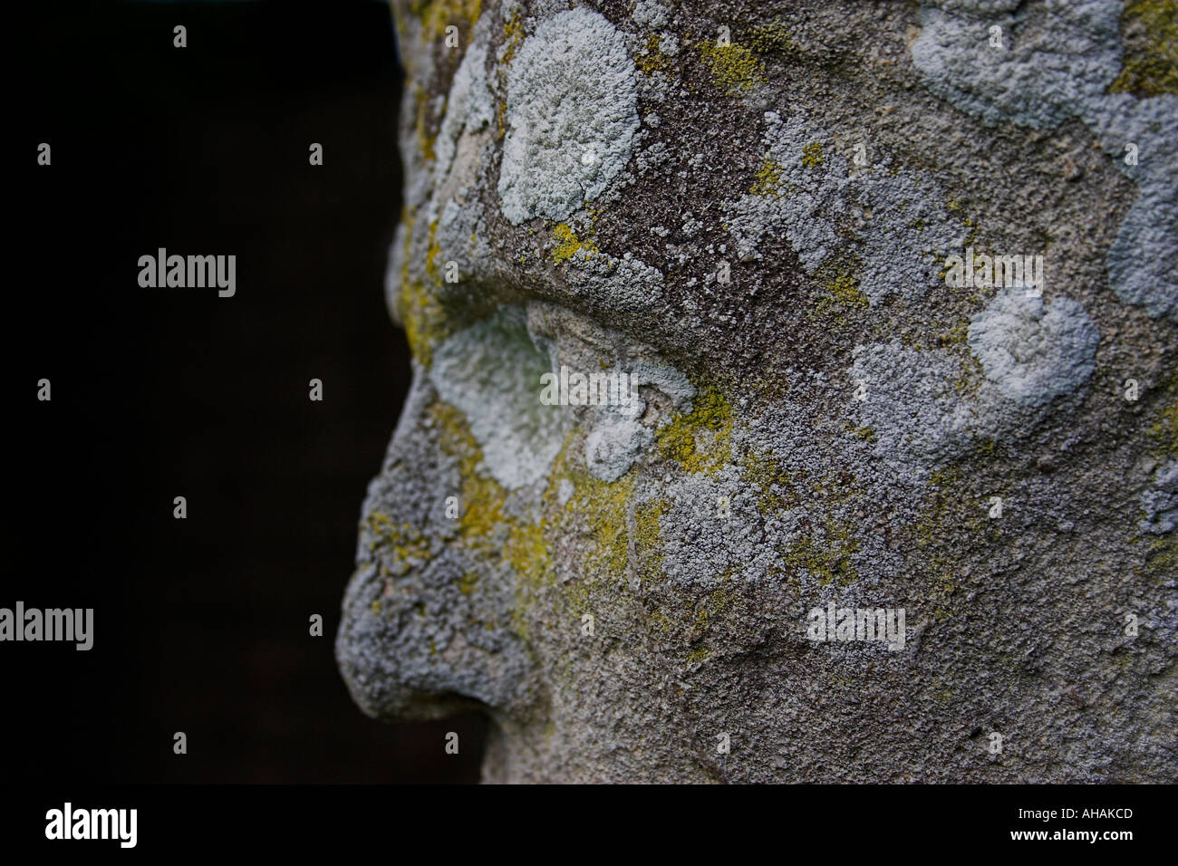 Side view of a garden statue face only Stock Photo - Alamy