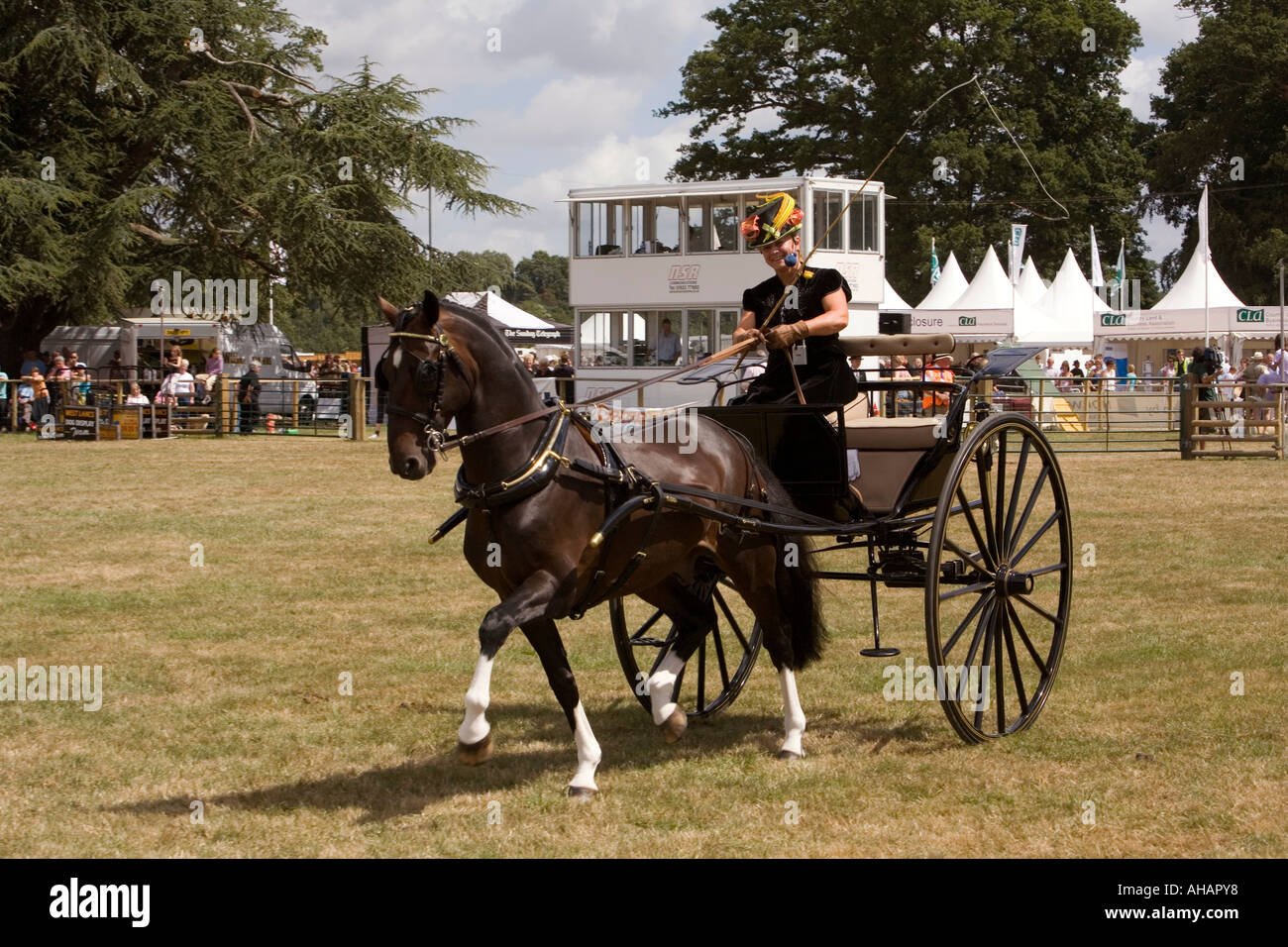UK Hampshire Romsey Broadlands CLA Game Fair Main Arena Carriage ...