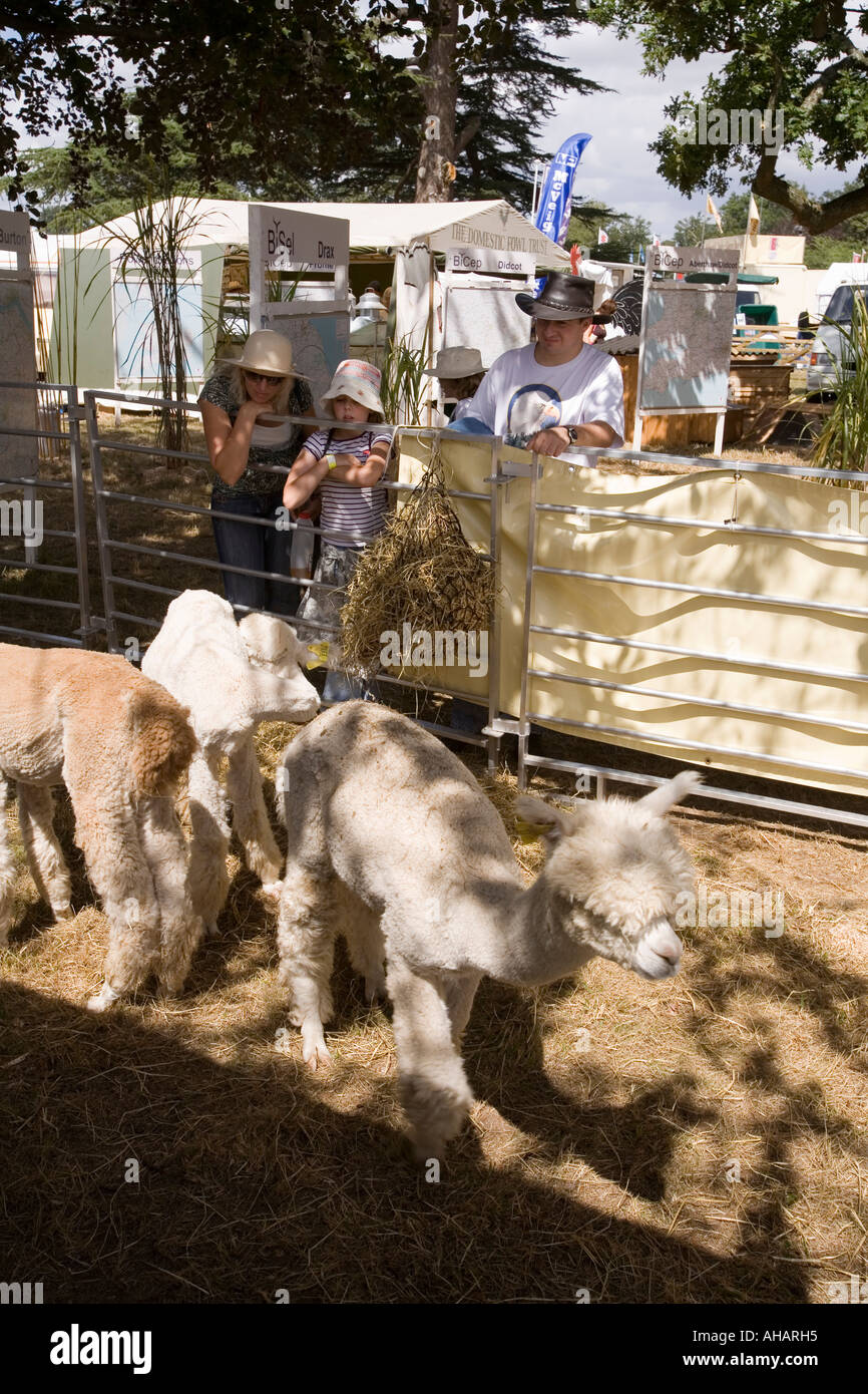 Lord romsey broadlands hi-res stock photography and images - Alamy