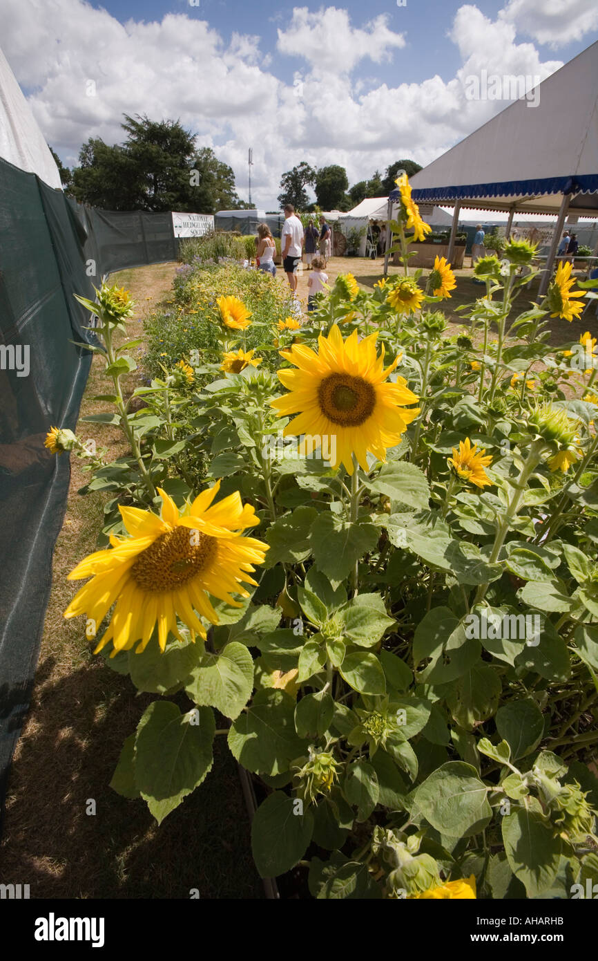 Earl mountbatten broadlands hi-res stock photography and images - Alamy