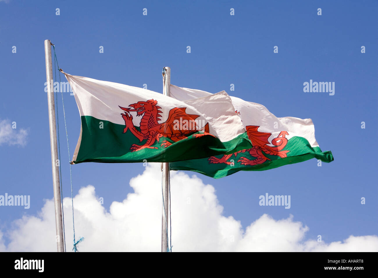 UK Hampshire Romsey Broadlands CLA Game Fair Welsh Village Welsh flags ...