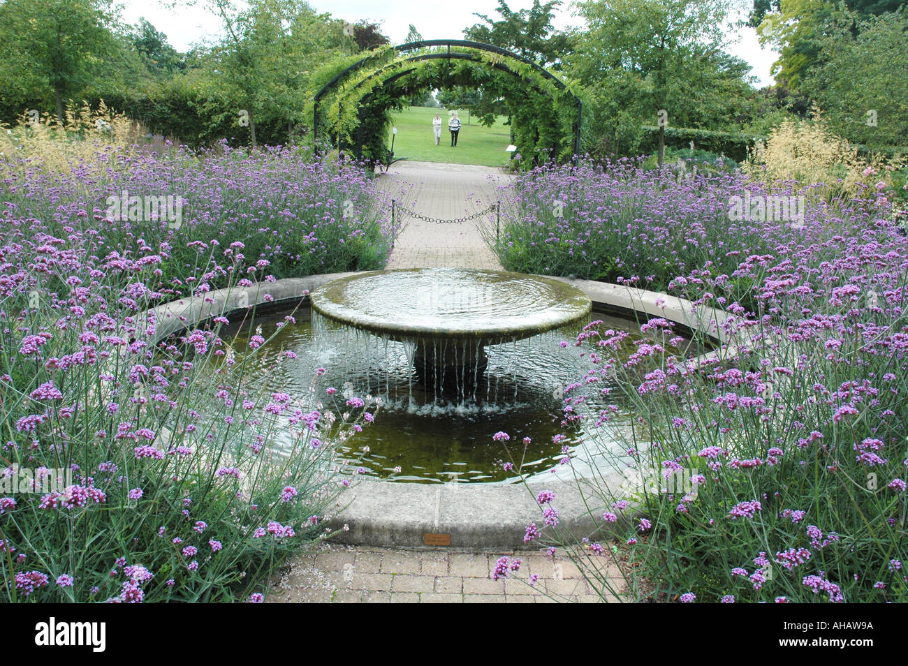 Plants at Wisley Garden England UK Stock Photo - Alamy