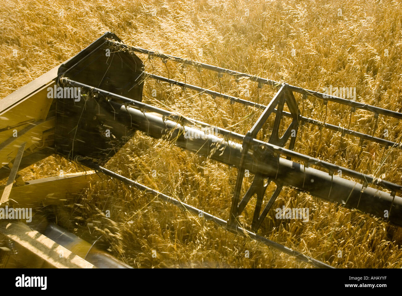 Reel combine harvester Wiltshire England UK Stock Photo - Alamy