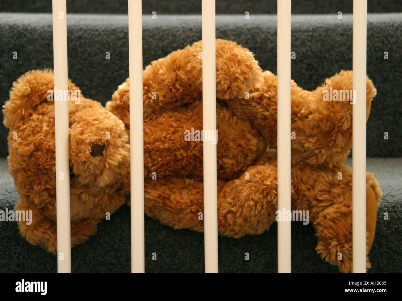 fallen teddy bear Stock Photo - Alamy