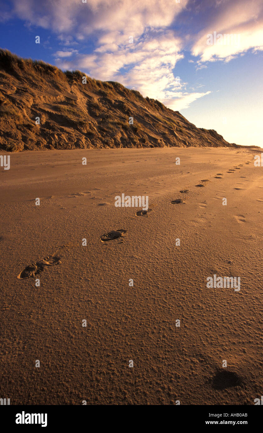 footsteps on beach Stock Photo - Alamy