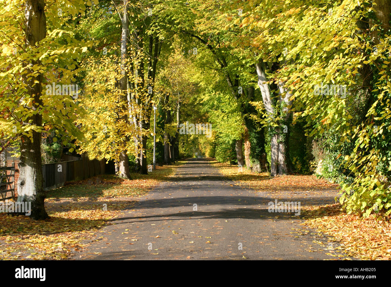 English seasons hi-res stock photography and images - Alamy