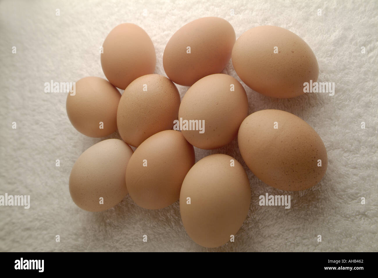 Above ten eggs Stock Photo - Alamy