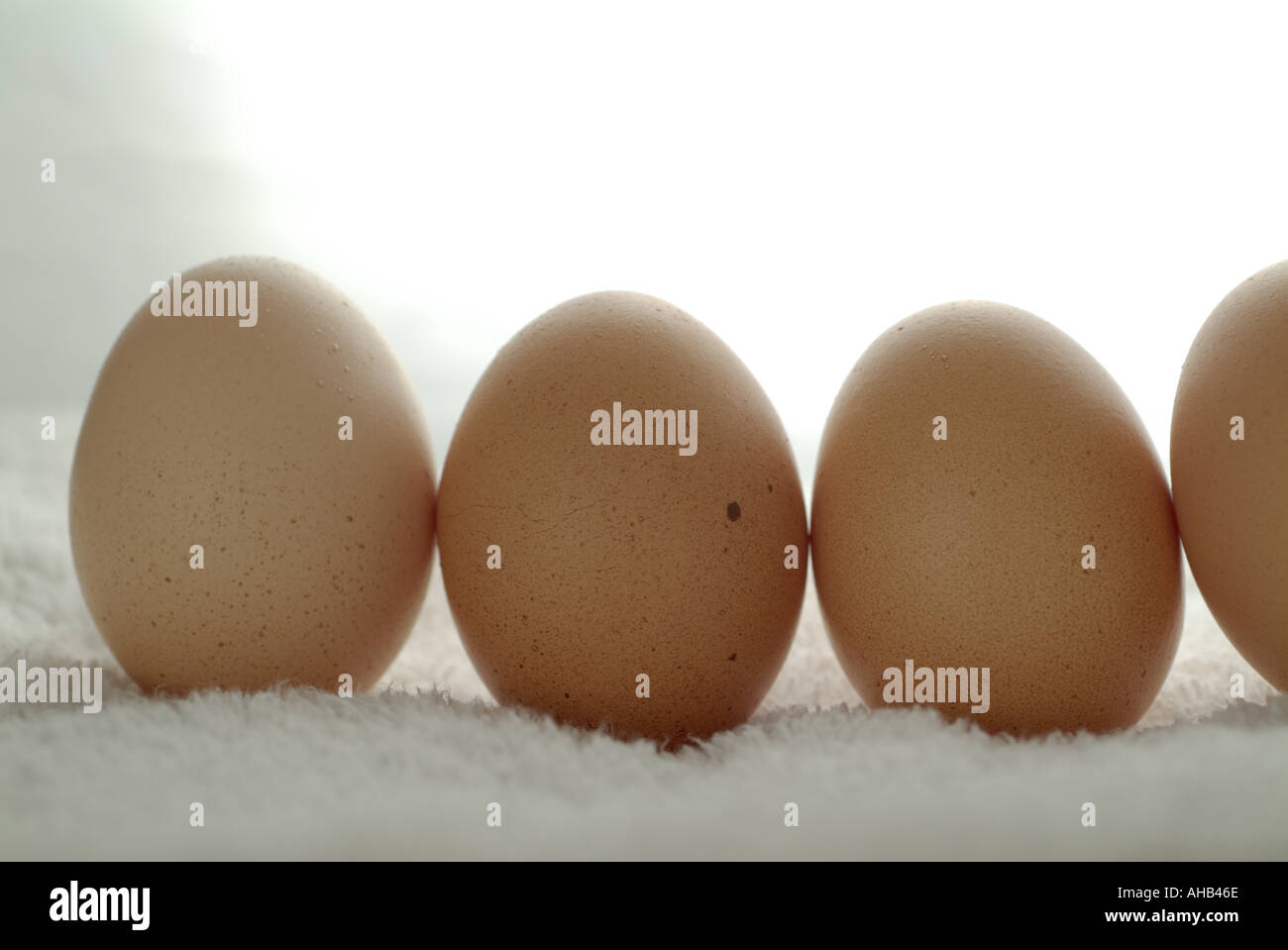 Four aligned eggs Stock Photo - Alamy