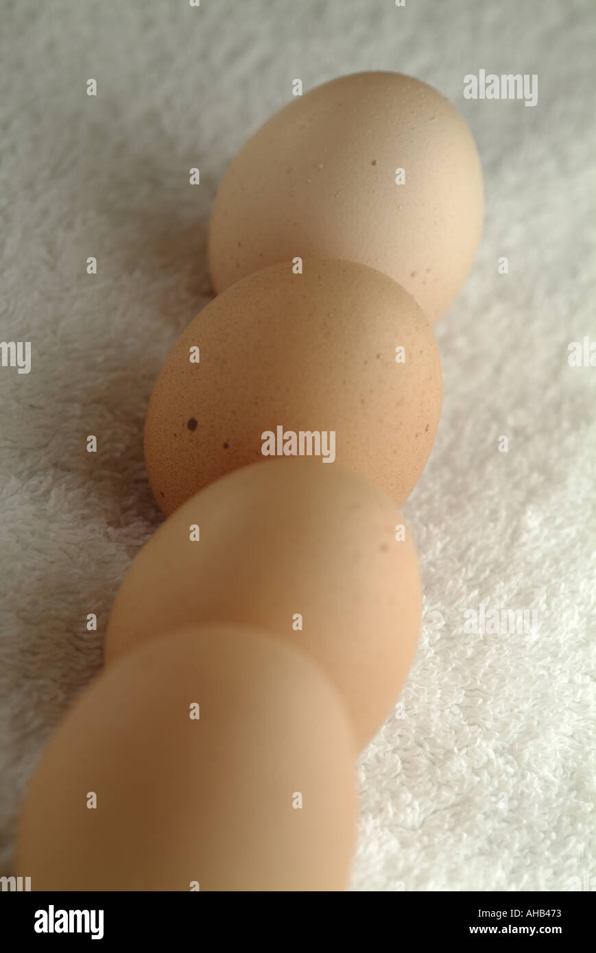 Above four aligned eggs Stock Photo - Alamy