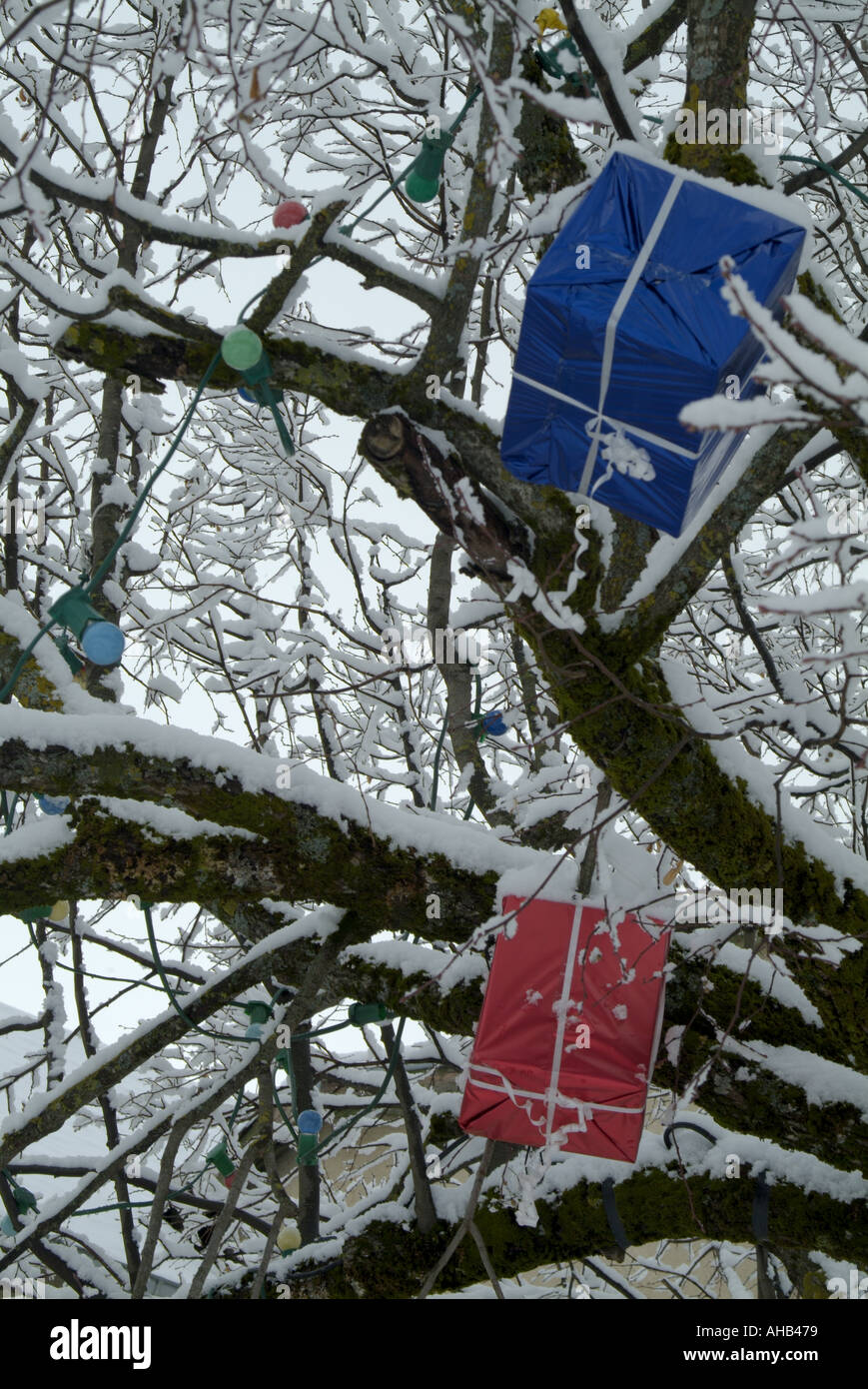 Ornamental tree suspended hi-res stock photography and images - Alamy