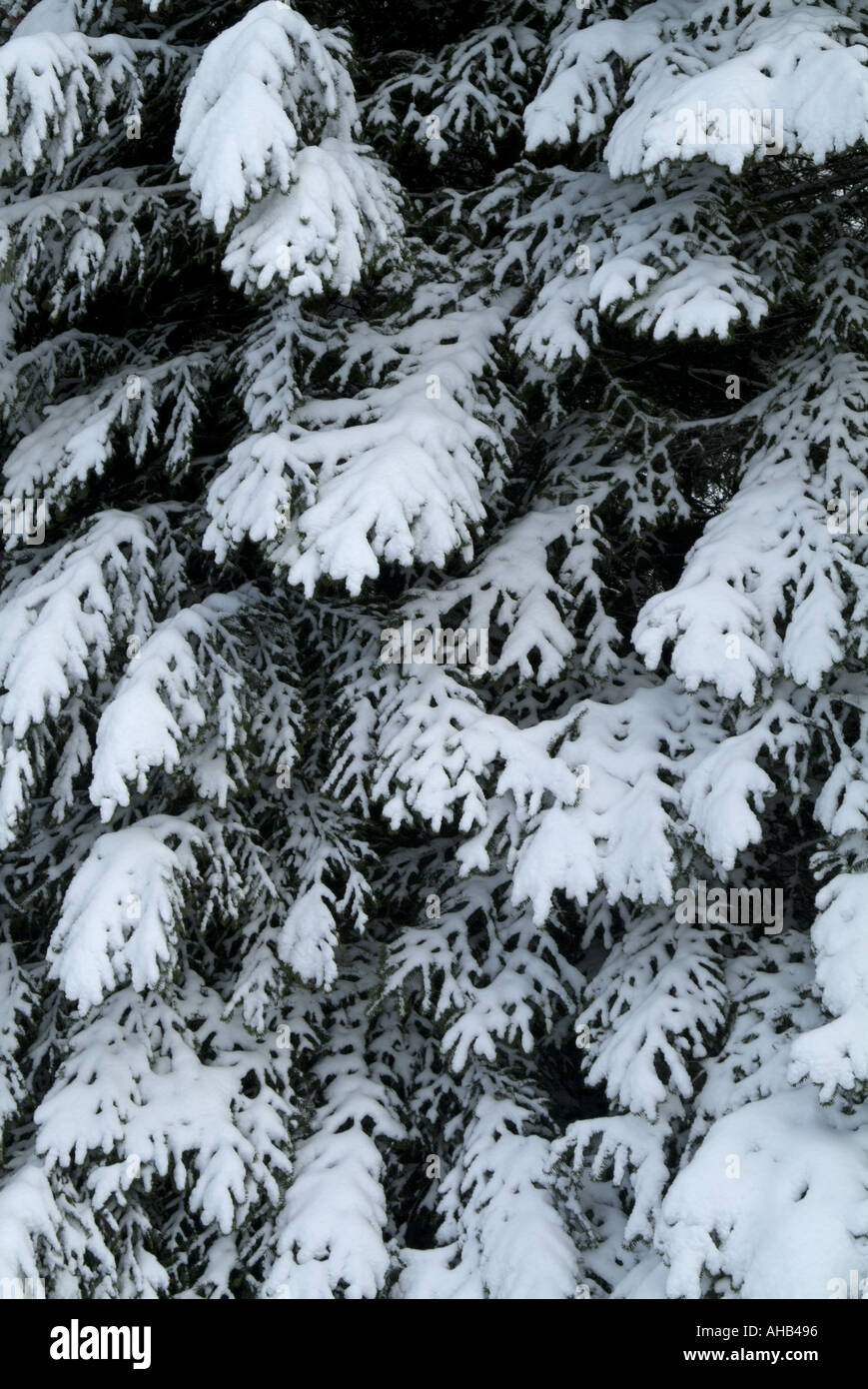 Var571 hi-res stock photography and images - Alamy