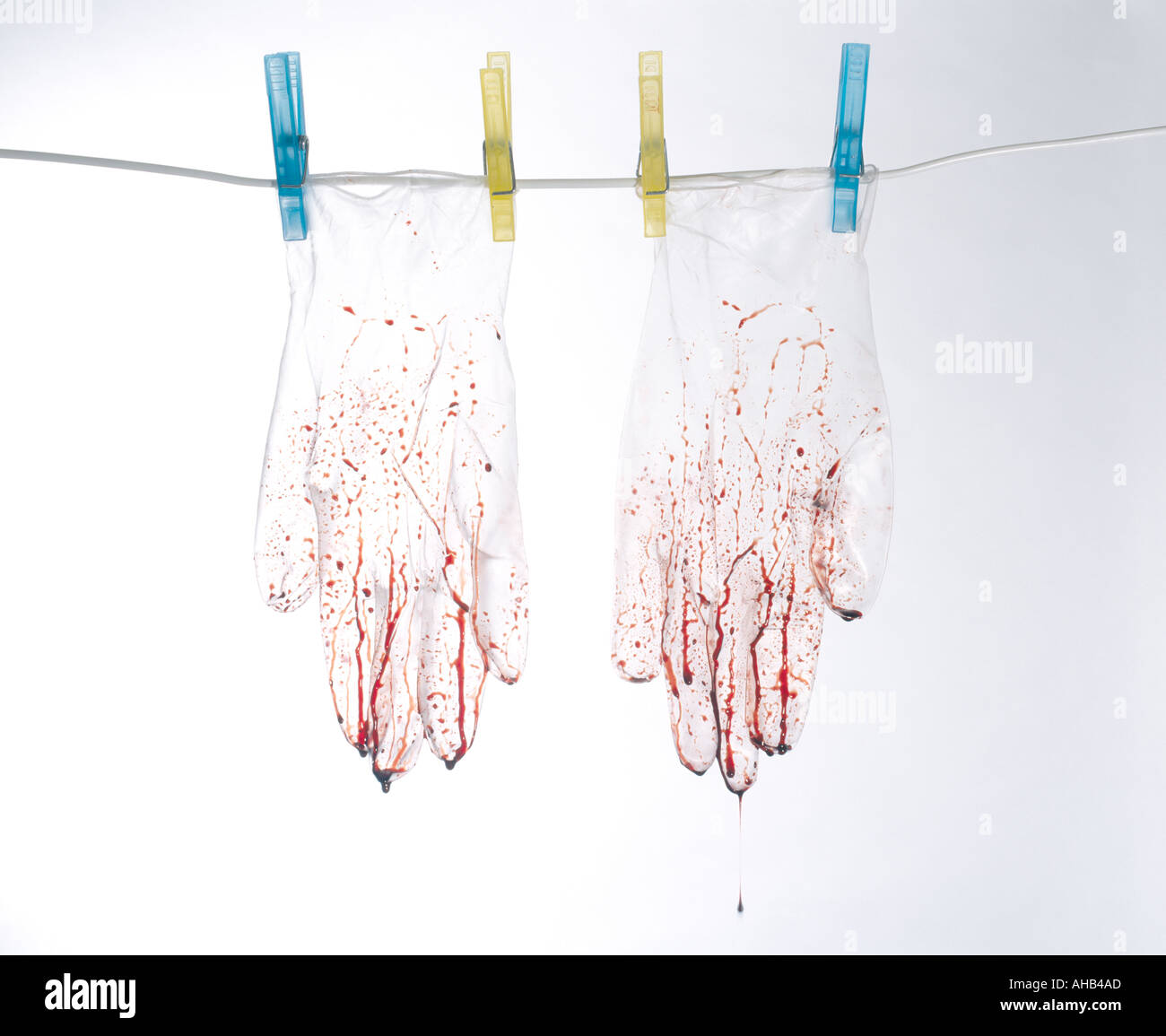 surgical gloves dripping with blood hanging from washing line Stock ...