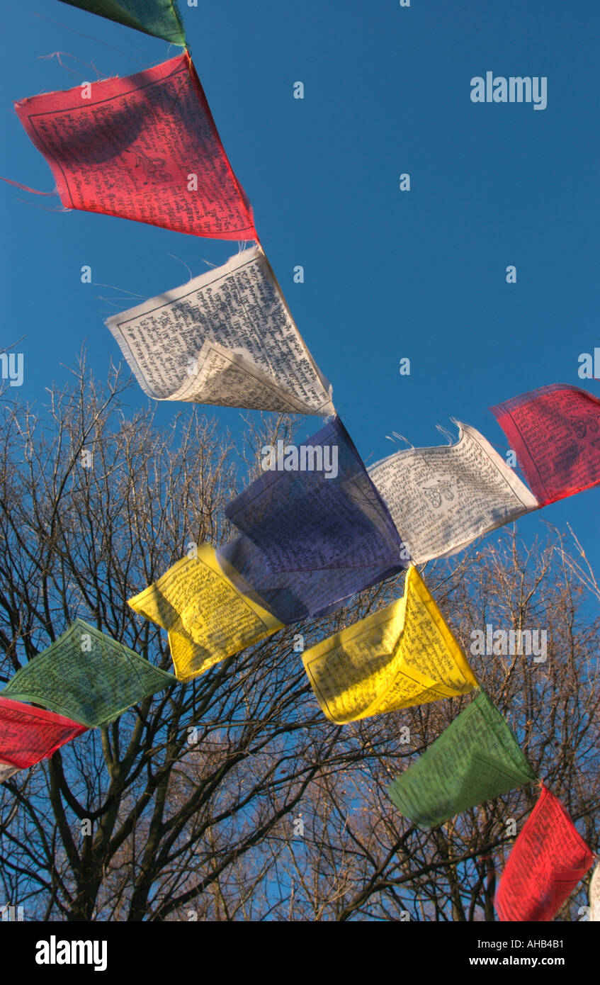 Prayer flags Stock Photo - Alamy