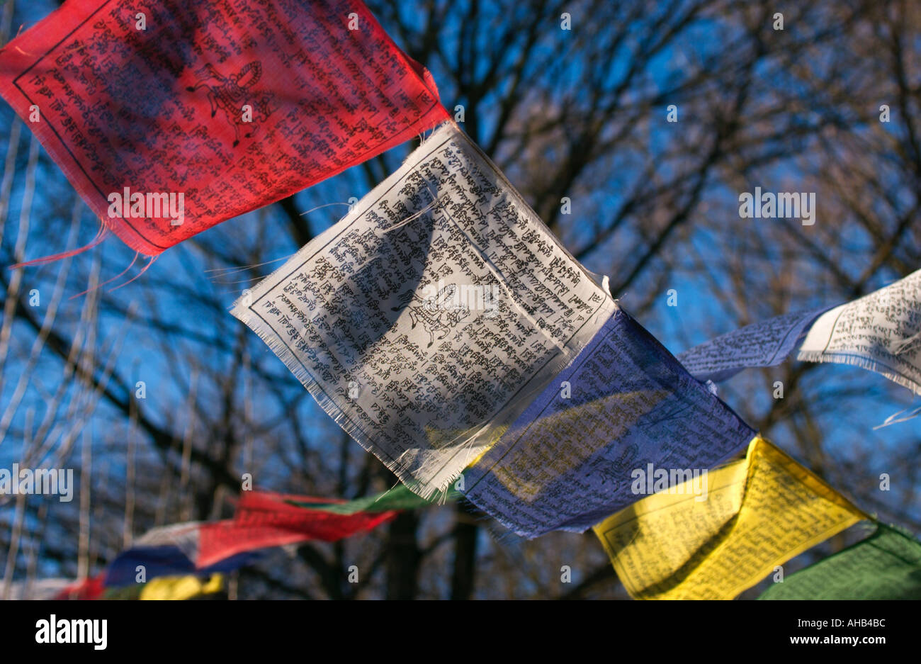 Prayer flags Stock Photo - Alamy