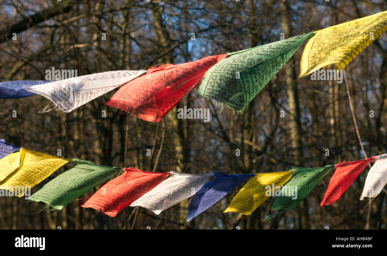 Prayer flags Stock Photo - Alamy