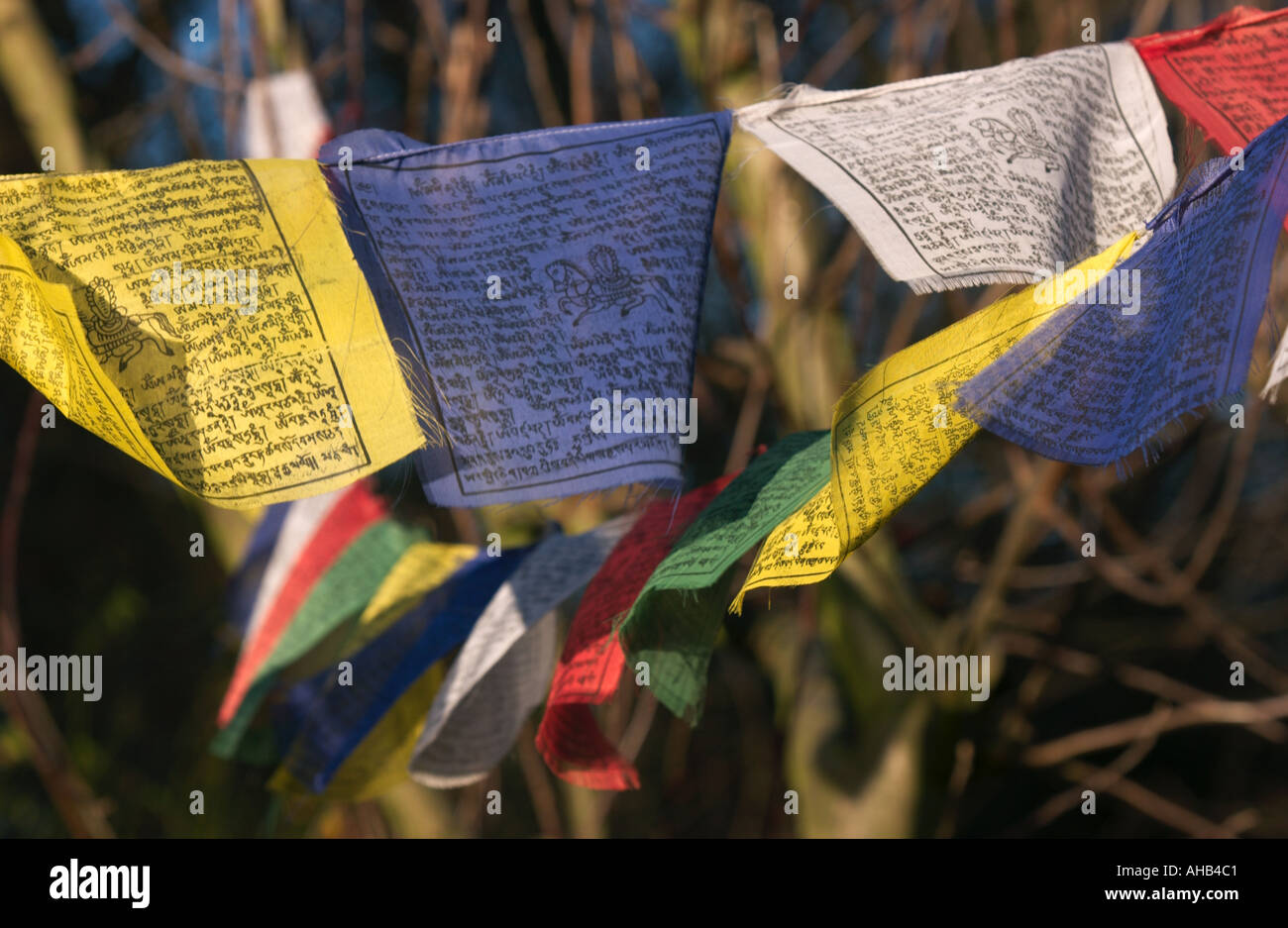 Prayer flags Stock Photo - Alamy