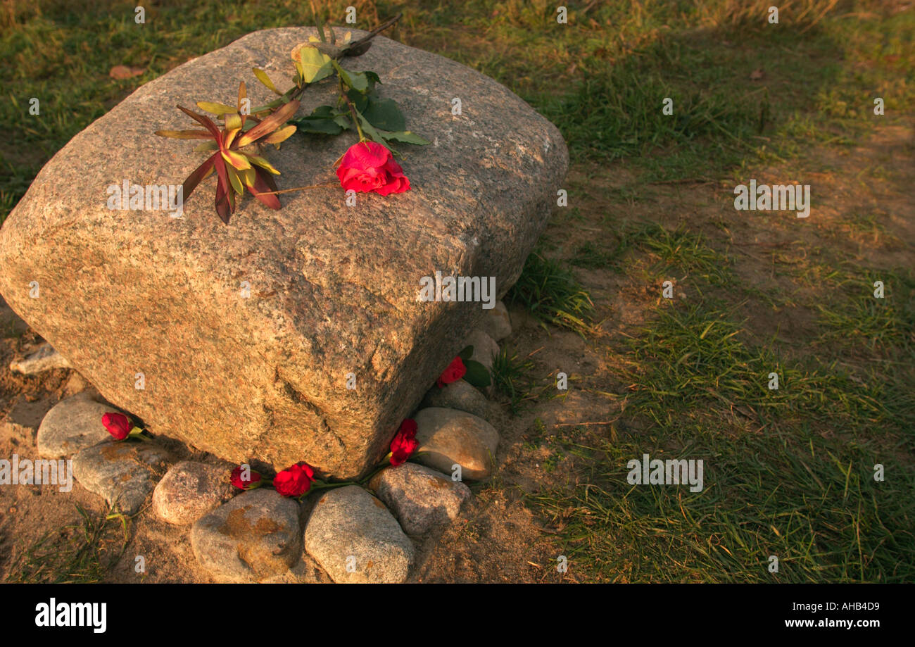 flowers on a stone Stock Photo - Alamy