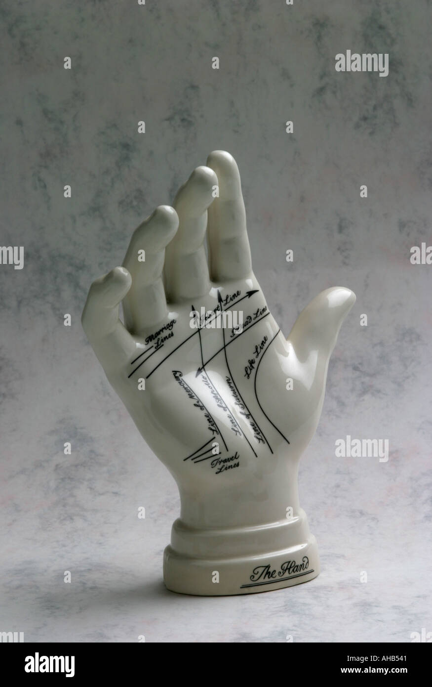 Model of a hand showing the lines that predicts our future Stock Photo ...
