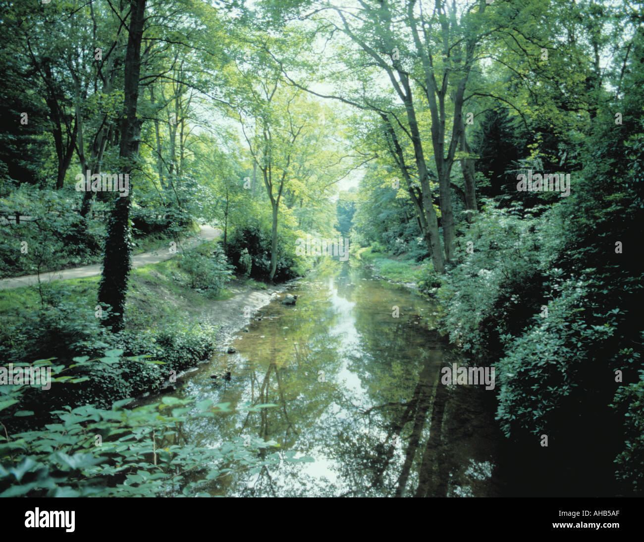 Jesmond dene park in newcastle hi-res stock photography and images - Alamy