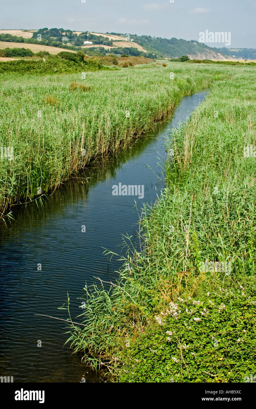 Slapton Ley National Nature Reserve Stock Photo - Alamy