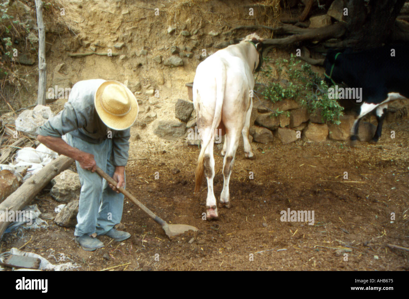 Domestic work lebanon hi-res stock photography and images - Alamy