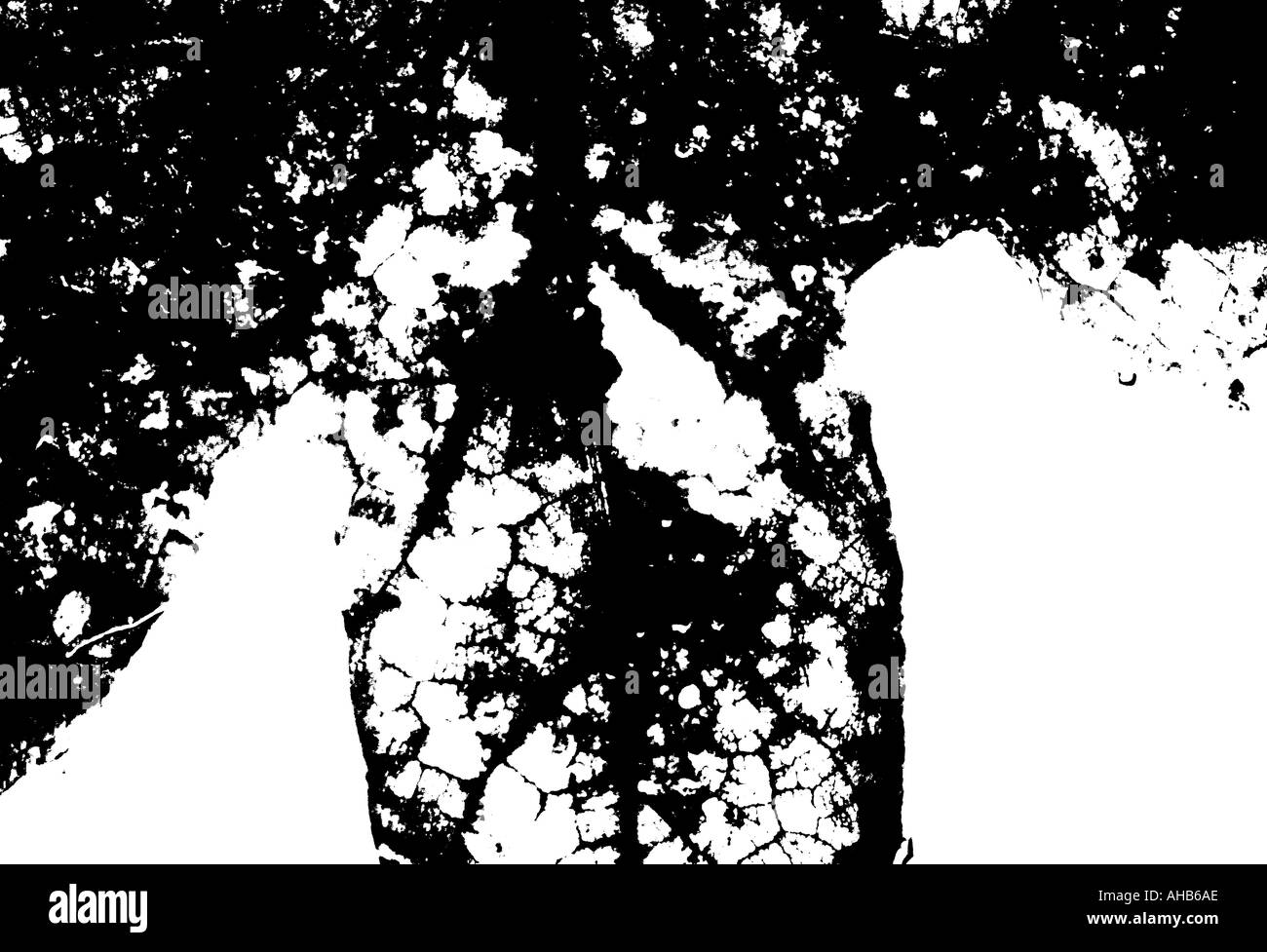 Mono map hi-res stock photography and images - Alamy