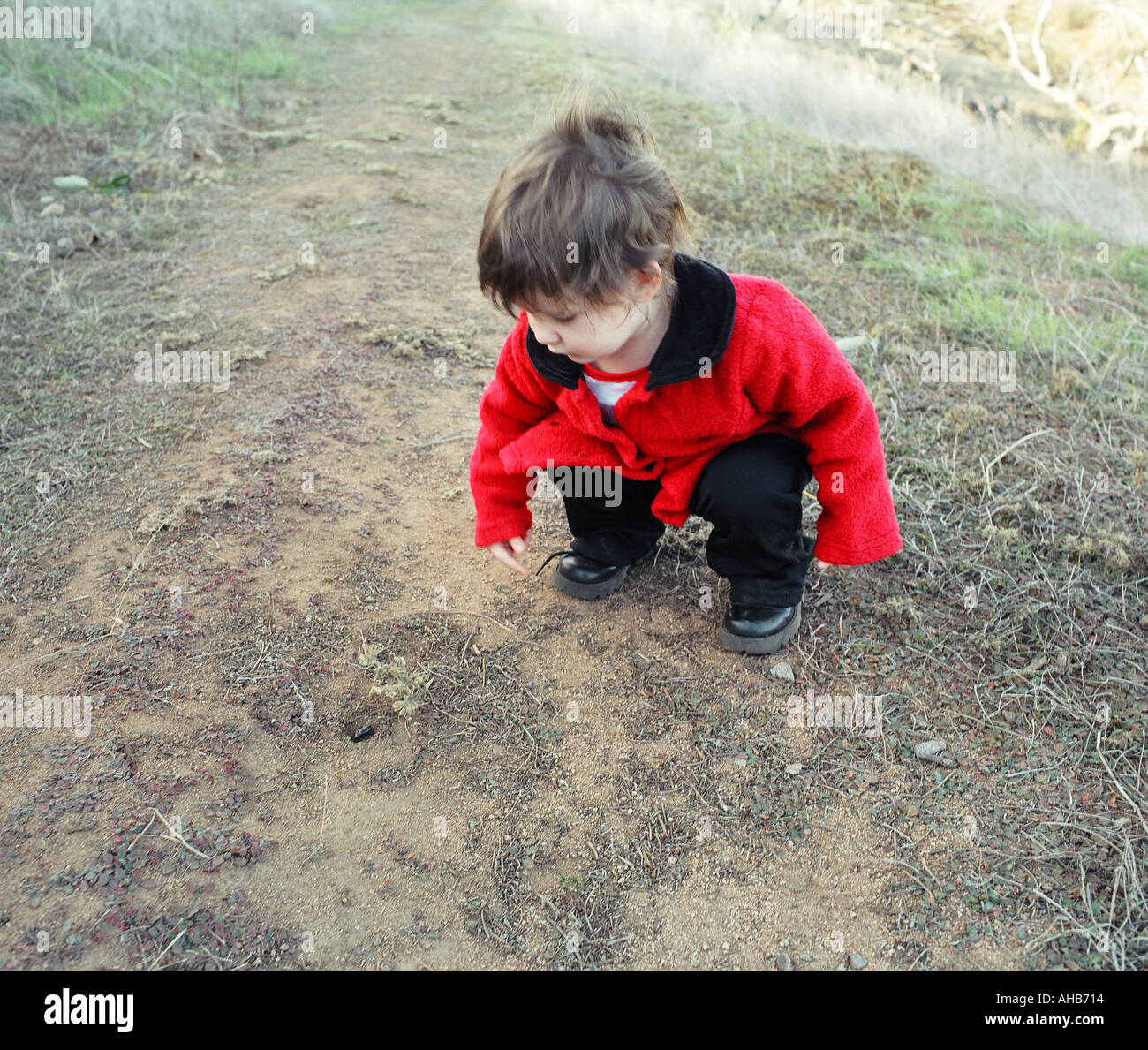Child playing with a stink bug Stock Photo - Alamy