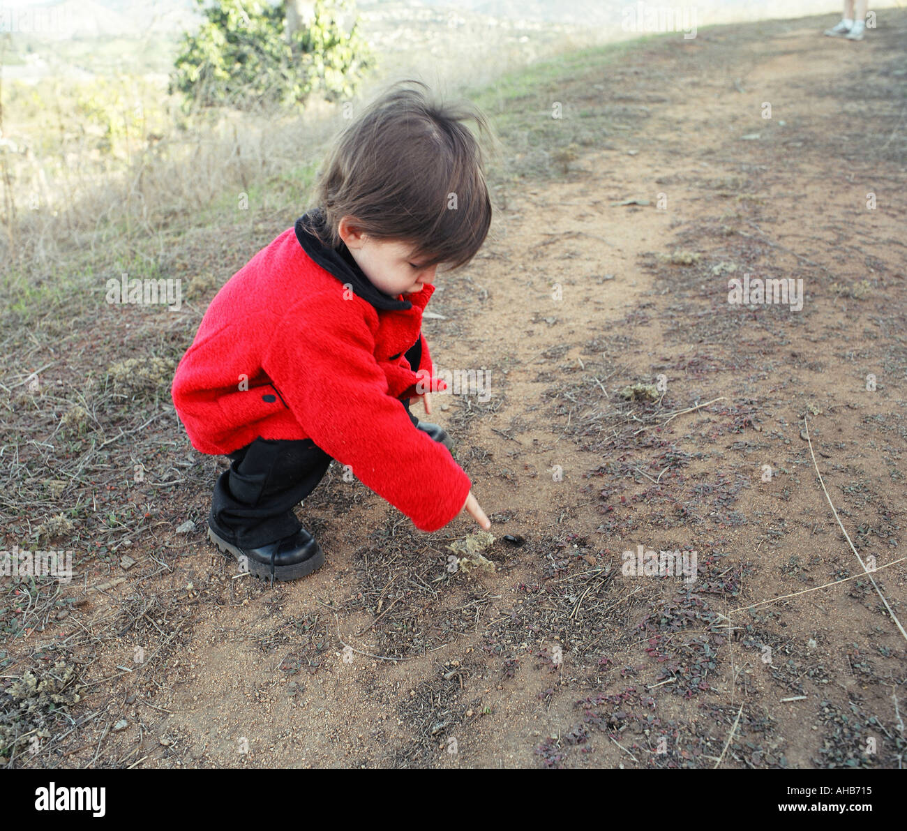 Child playing with a stink bug Stock Photo - Alamy