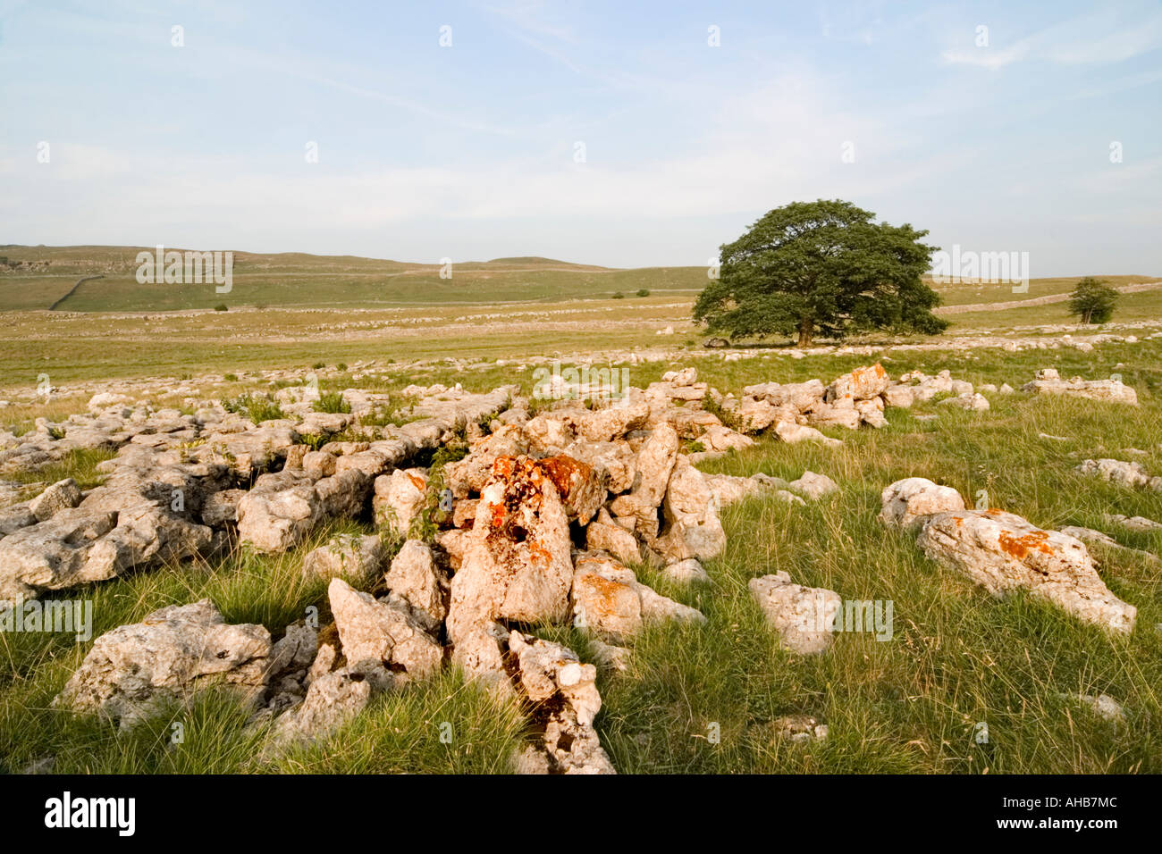 Grassington Moor area above Grassington Yorkshire Dales Stock Photo - Alamy