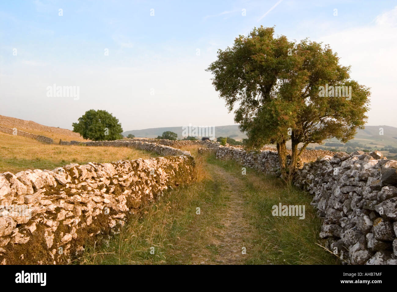 Grassington Moor area above Grassington Yorkshire Dales Stock Photo - Alamy