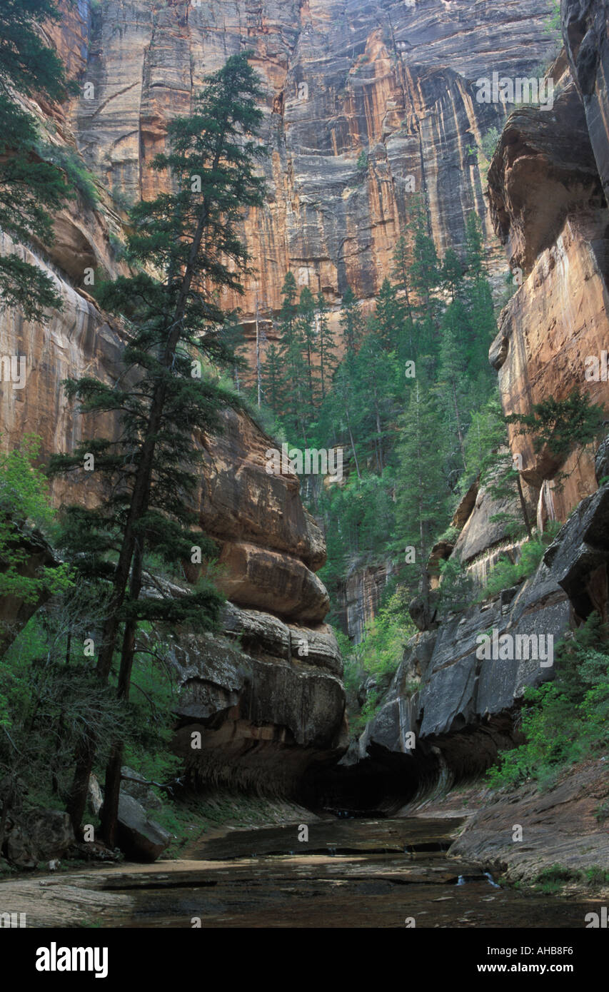 Zion subway entrance hi-res stock photography and images - Alamy