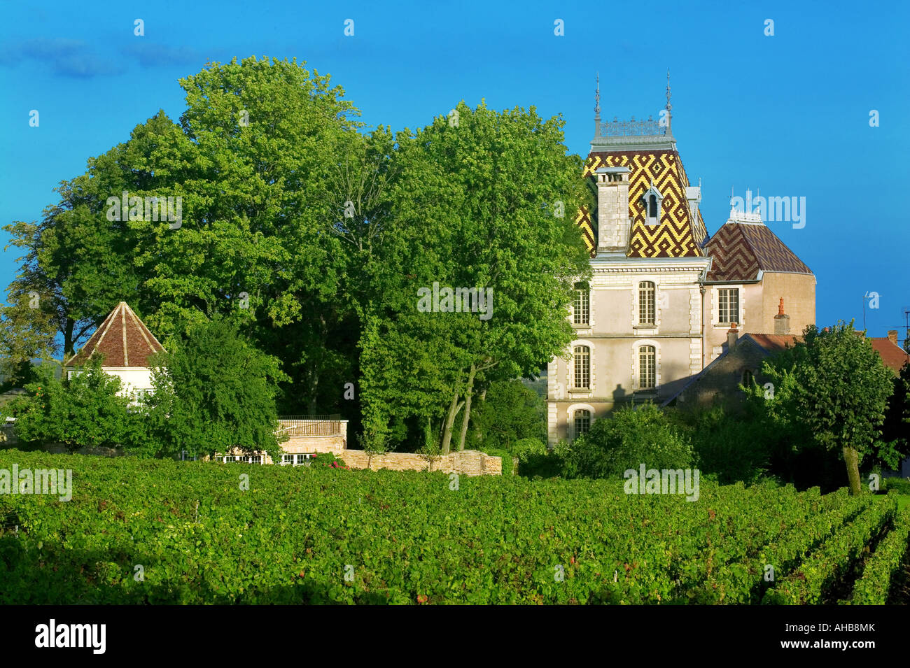 ALOXE CORTON - CASTLE - VINEYARDS - BURGUNDY - FRANCE Stock Photo - Alamy