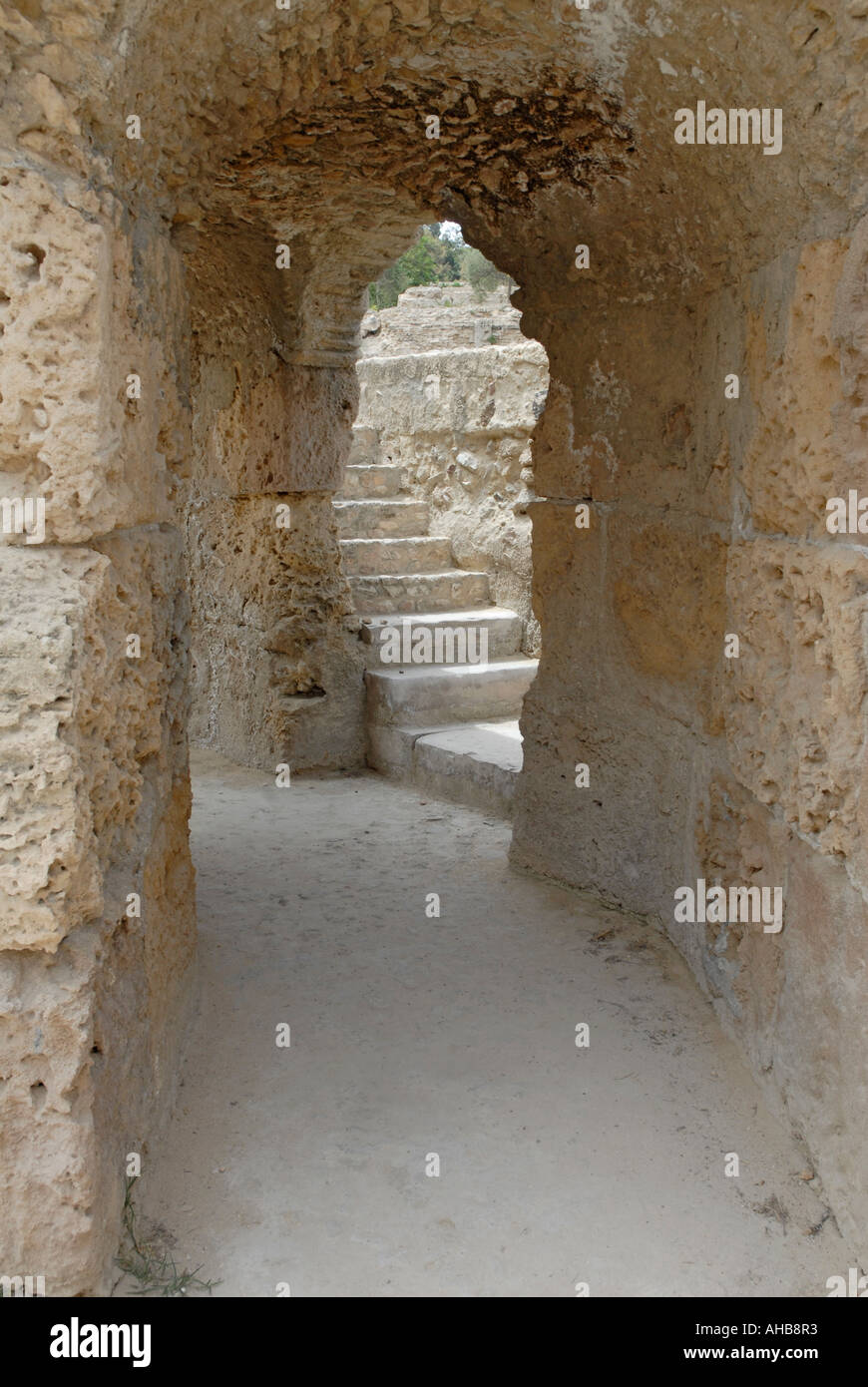 Ruins of the Antonin’s thermal baths in ancient Carthage, the third ...