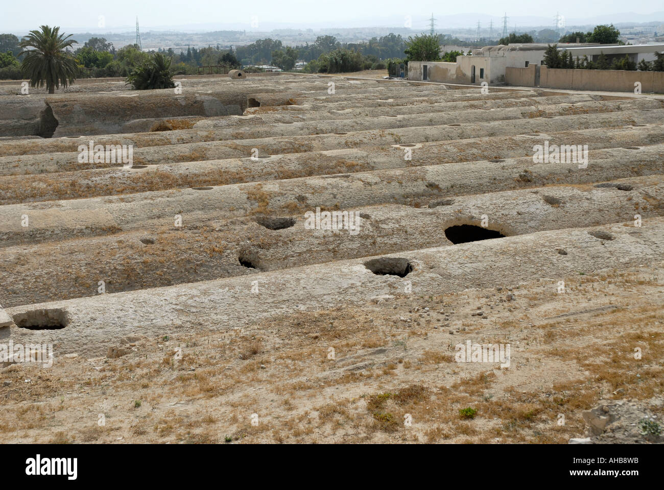Ancient carthage hi-res stock photography and images - Alamy