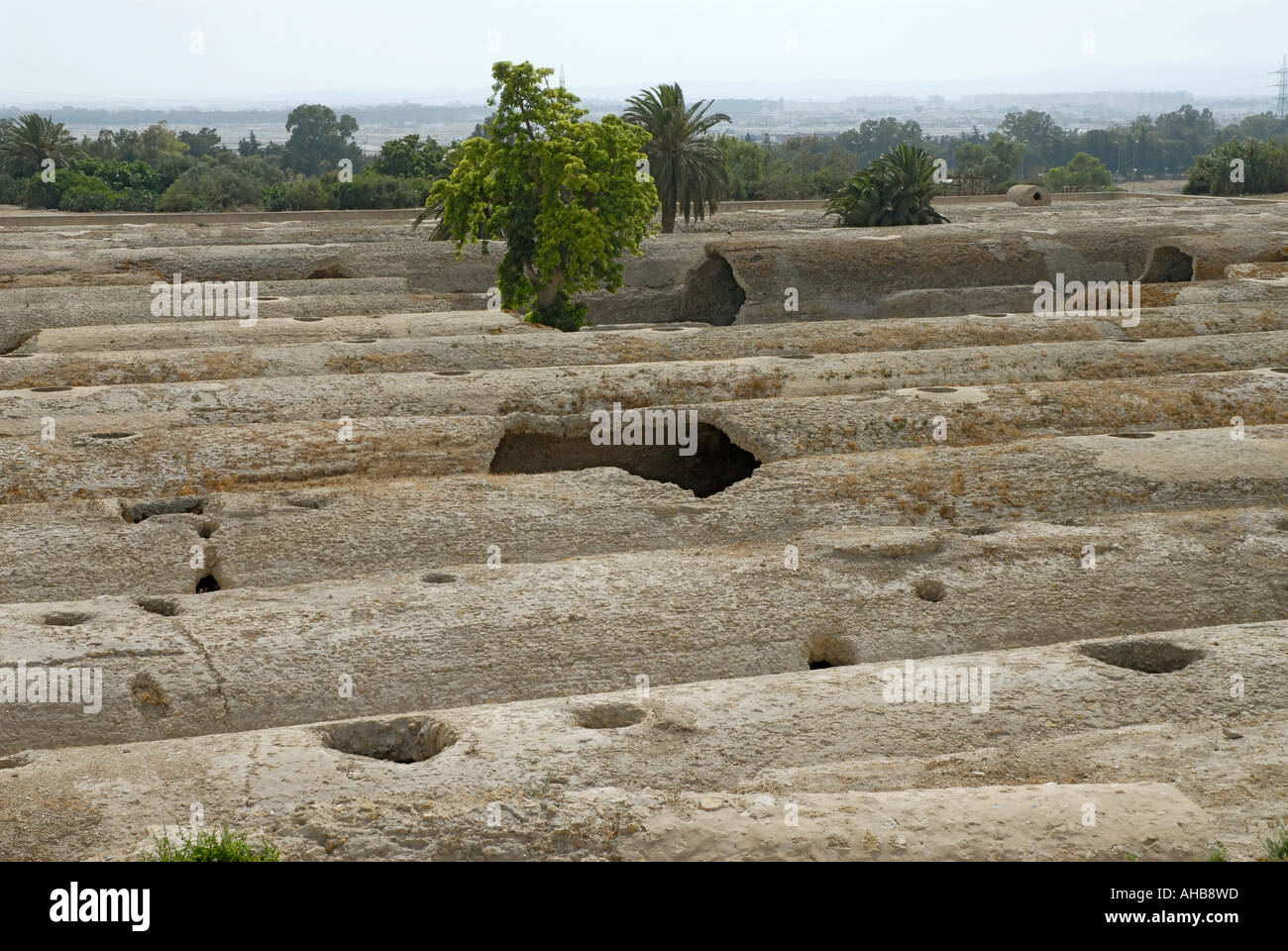 Ancient carthage hi-res stock photography and images - Alamy