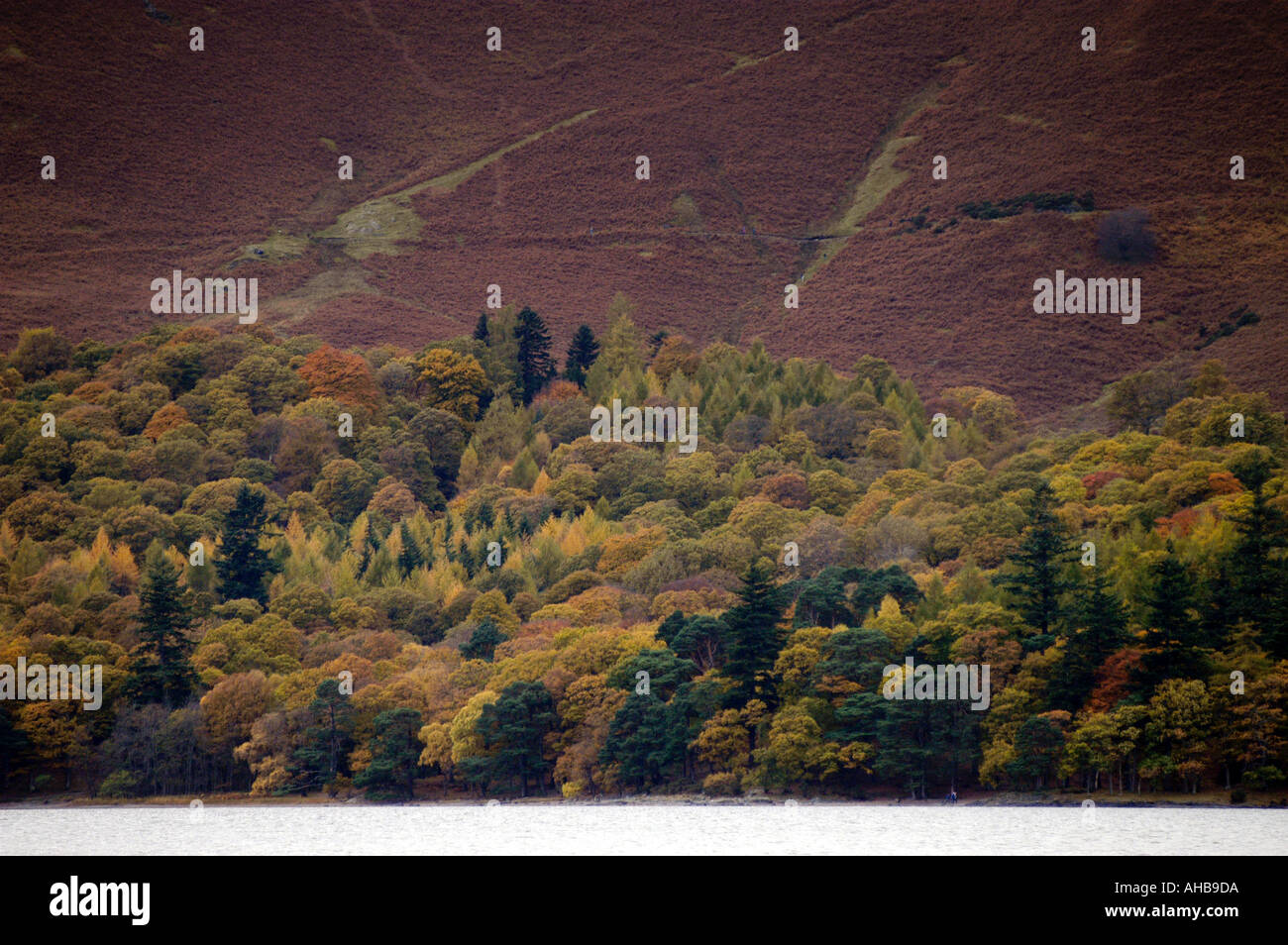 03 . 10 hi-res stock photography and images - Alamy