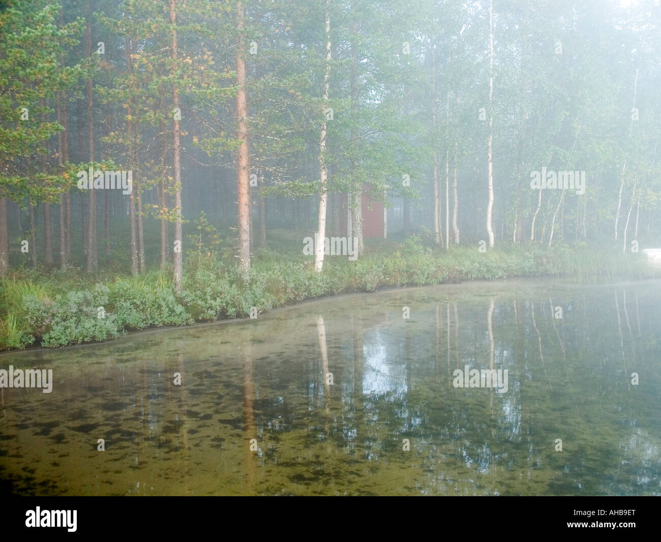 dispersial of mist in morning at a lake in Finland Stock Photo - Alamy