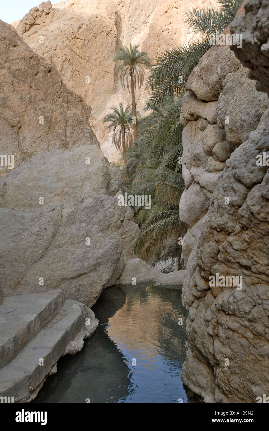passage through a mountain oasis in southern Tunisia Stock Photo - Alamy